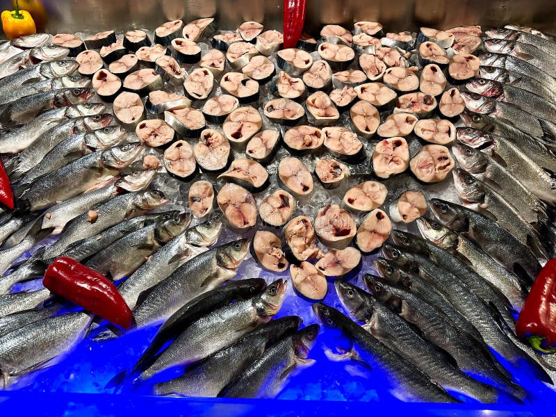 Fresh bonito fish stock image. Image of collection, isolated - 275100397