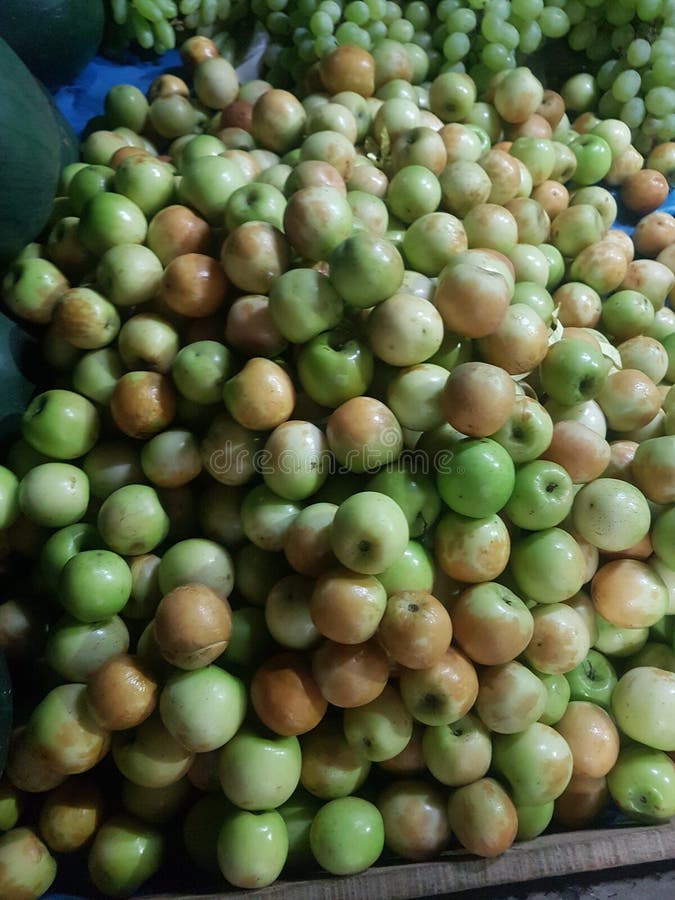 Fresh boroi fruit stock image. Image of plant, cuisine - 244135575