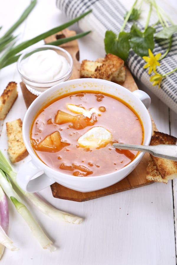 Borsch stock image. Image of liquid, portion, dish, lunch - 39470579