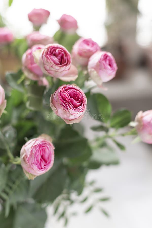 Fresh Bouquet of Pink Roses Stock Photo - Image of garden, romance ...