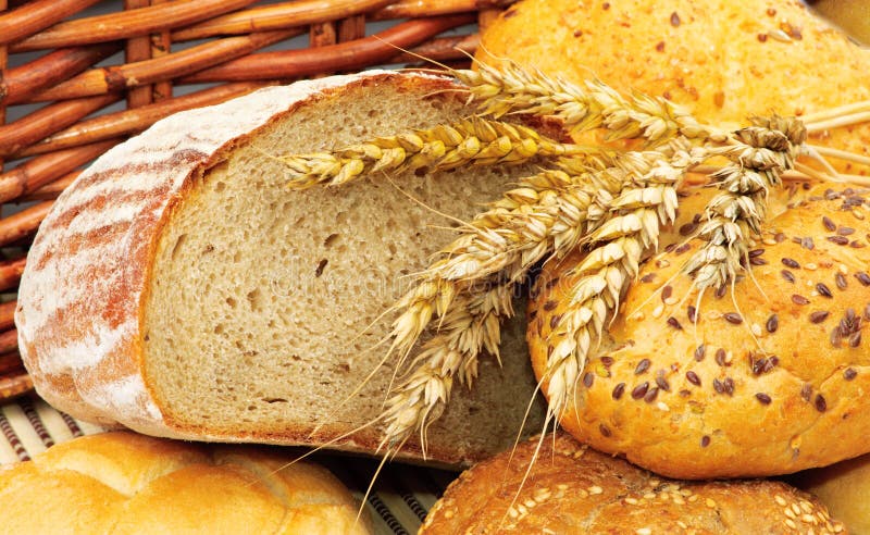 Fresh bread stock photo. Image of food, corn, kitchen - 10557276
