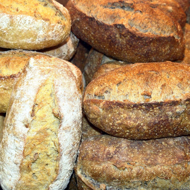 Fresh Bread stock image. Image of indoor, farmers, bakery - 2703679