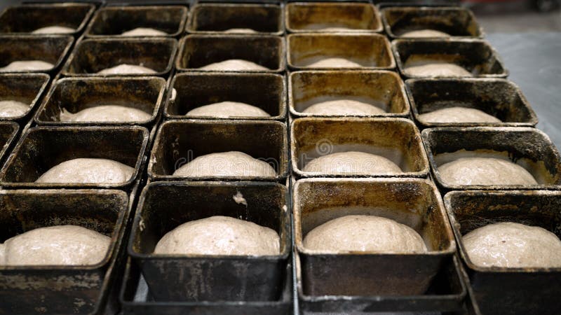 Fresh Bread at the Bakery. the Raw Bread Dough is Shaped and Placed in ...
