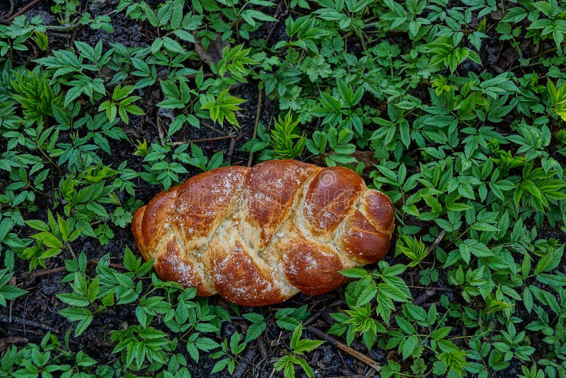 Fresh Bread Loaf in Green Grass Stock Image - Image of nature, food ...