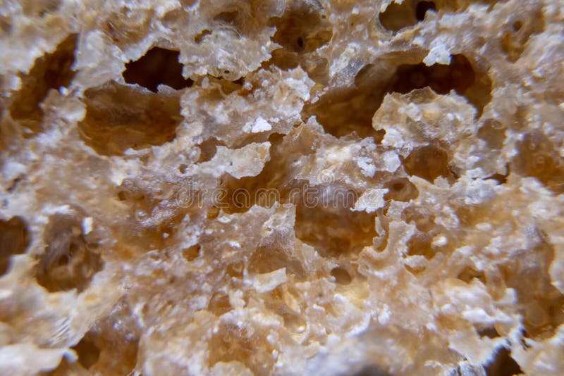 Fresh Bread Slice Macro Shot. Bread Extreme Close-up. Stock Image ...