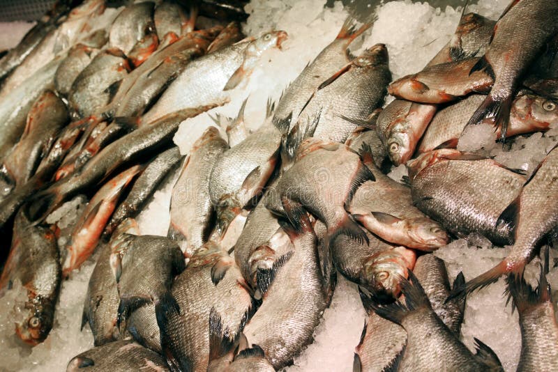 Fresh Bream Fish on Cutting Board with Ingredients Stock Image - Image ...