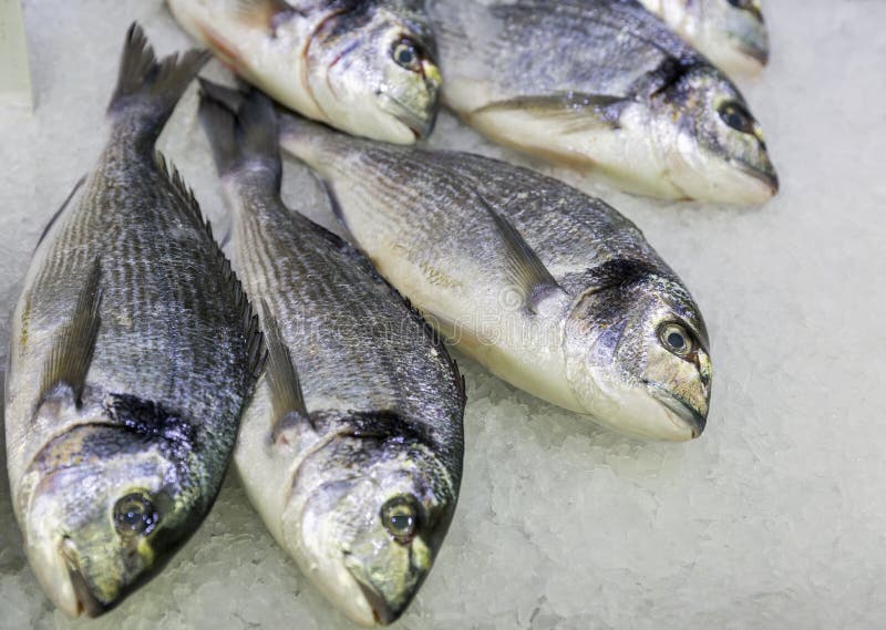 Fresh Bream on Ice at the Seafood Booth Stock Image - Image of dish ...