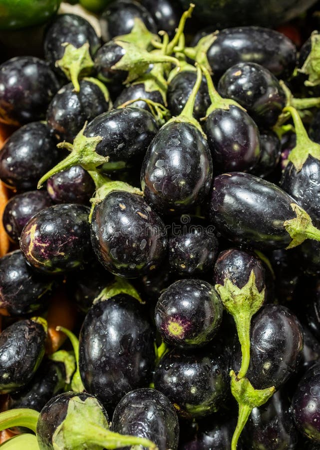 Fresh Brinjal at Vegetable Store for Sale at Evening Stock Photo ...