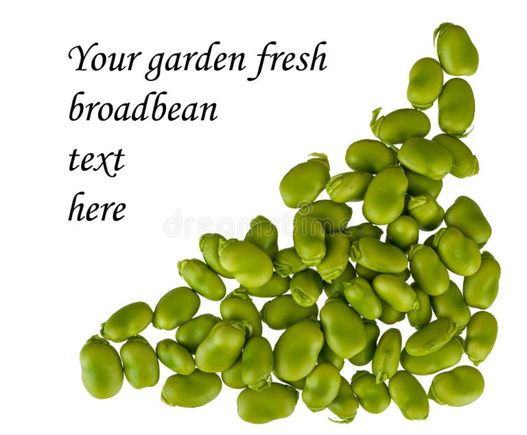 Fresh Broad Bean Border, Frame, Corner, Isolated Stock Image - Image of ...