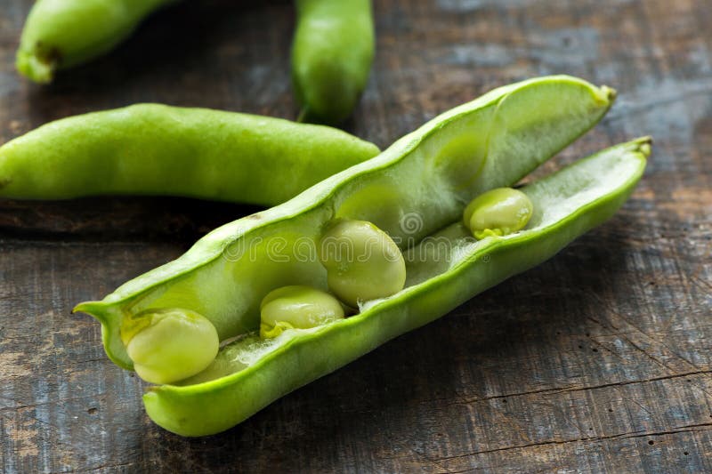 Fresh Broad Bean Pods - Closeup with Selective Focus Stock Image ...