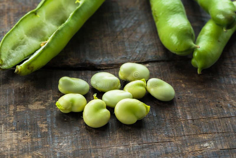 Fresh Broad Bean Pods - Closeup with Selective Focus Stock Image ...