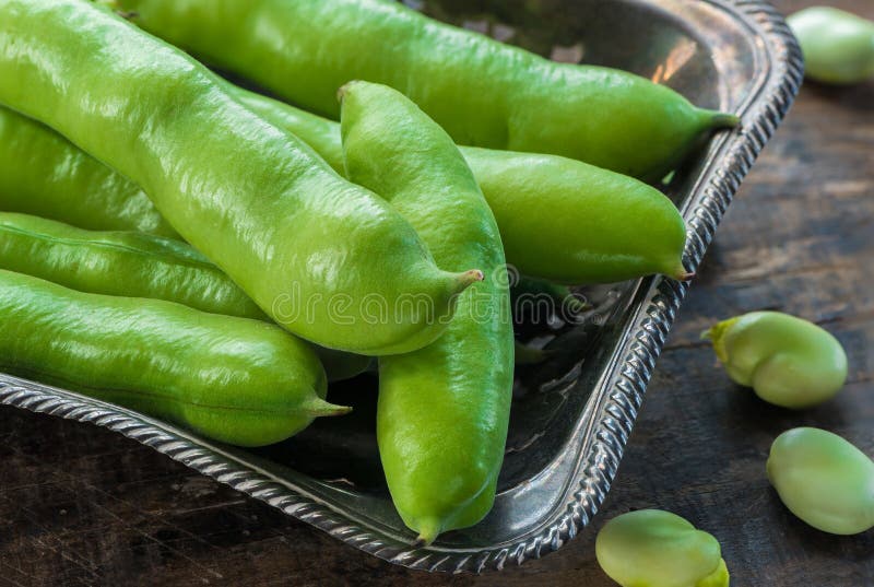 Vicia Fabia Broad Bean Plant Stock Photo - Image of outdoor, freshness ...