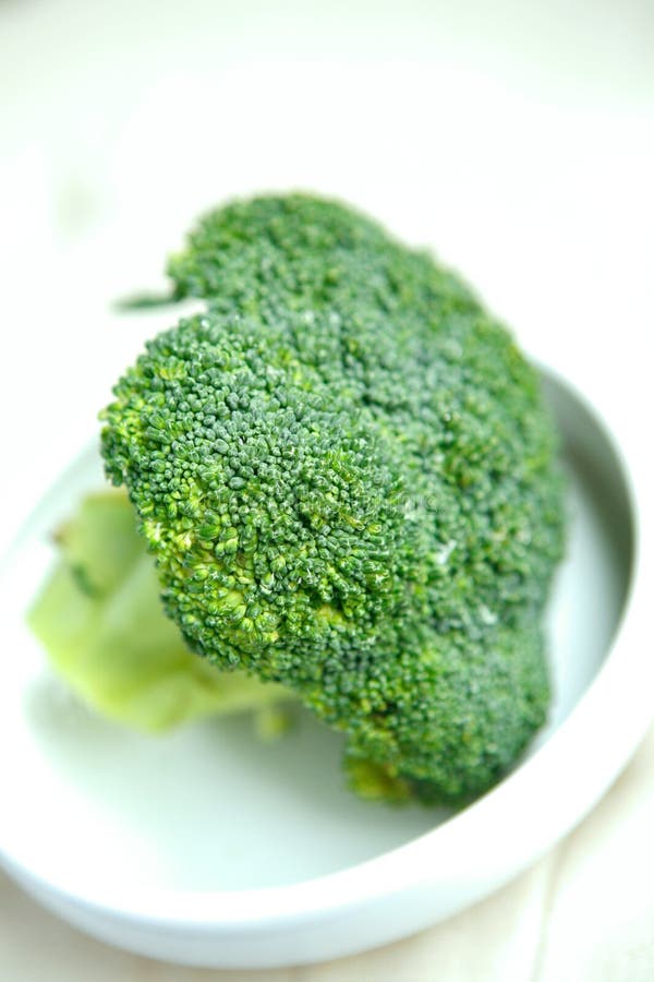 Broccoli zoom stock image. Image of backdrop, garden, gourmet - 5855839