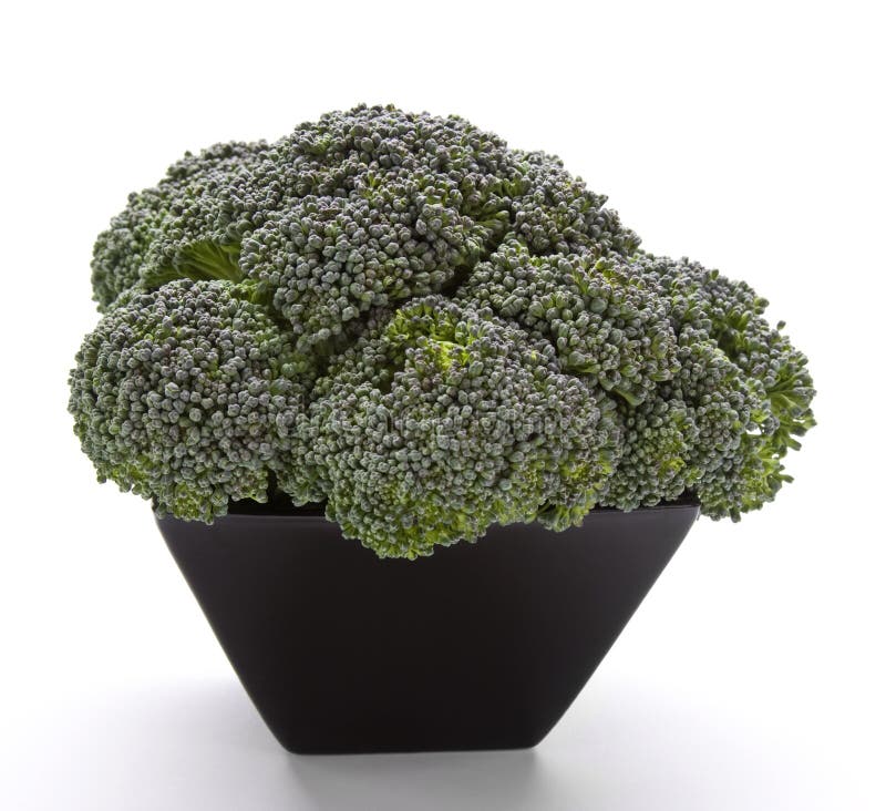 Fresh Broccoli stock photo. Image of uncooked, isolated - 18775544