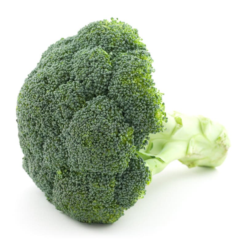 Fresh broccoli stock photo. Image of food, tasty, vegetable - 1127790