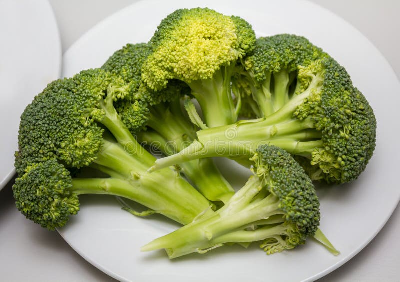 Fresh broccoli stock photo. Image of cooking, colours - 28194634