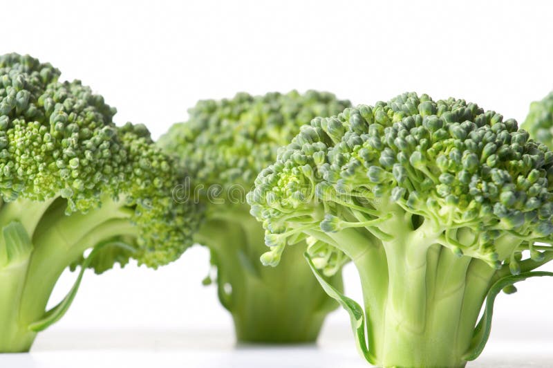 Fresh broccoli stock photo. Image of natural, ingredients - 7365714
