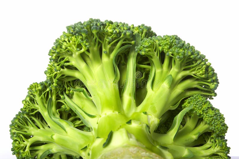 Fresh broccoli stock image. Image of appetizer, vitamin - 7368303