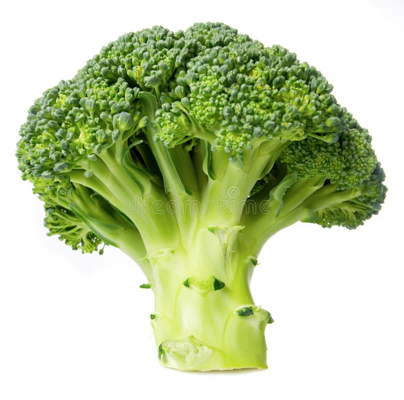 Fresh broccoli stock photo. Image of ingredients, lifestyle - 8196392