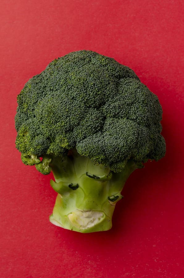 Fresh Broccoli Auf Einem Farbenfarbenen Hintergrund Isoliert Stockbild ...