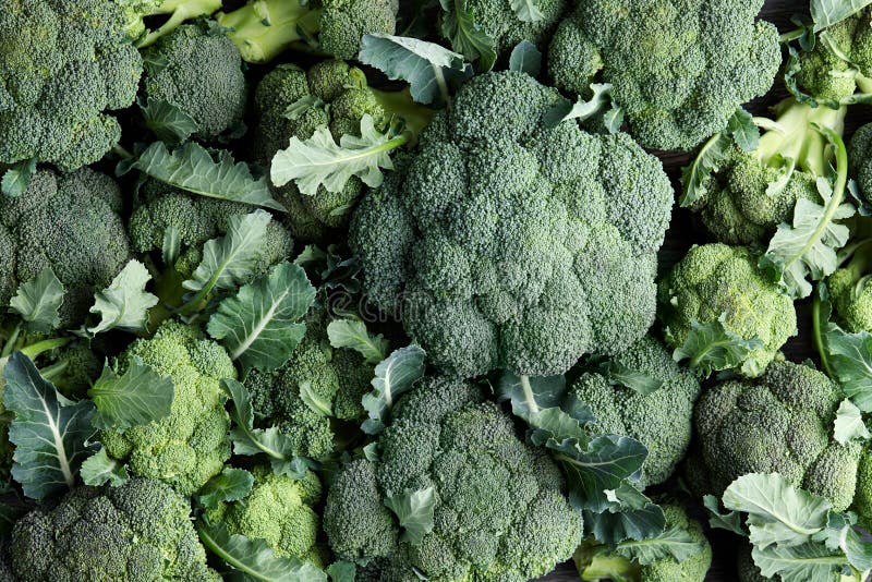 Fresh broccoli background stock image. Image of fall - 79722203