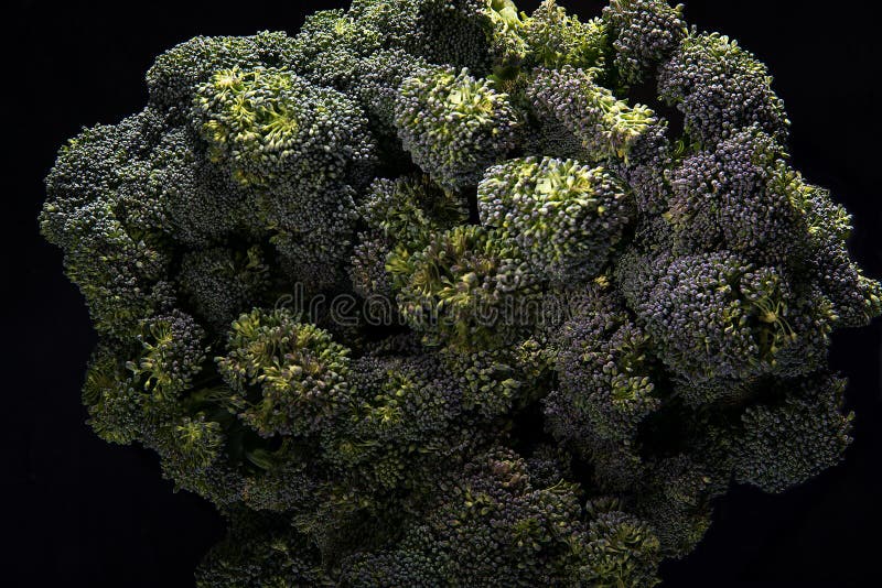 Fresh Broccoli on a Black Background Stock Photo - Image of healthy ...