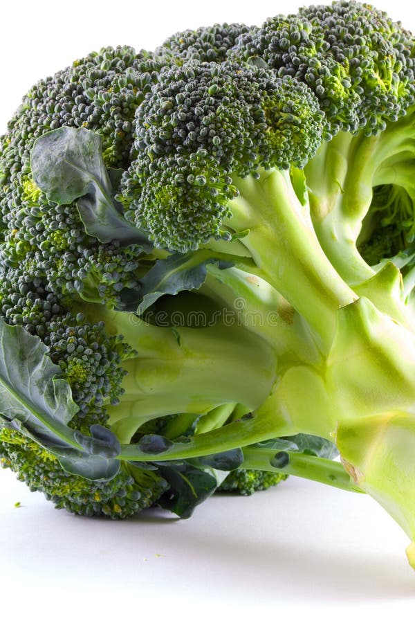 Fresh broccoli stock image. Image of brocolli, nature - 76381969