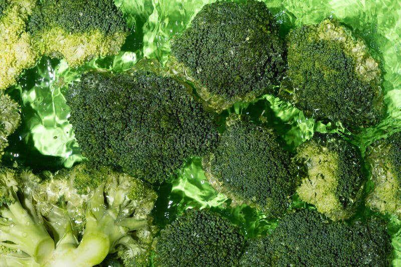 Fresh Broccoli Floating in Water, Top View. Stock Image - Image of food ...