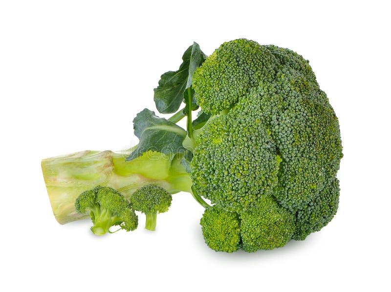 Fresh Broccoli Isolate on White Background Stock Image - Image of ...