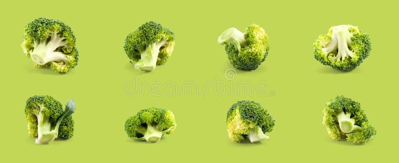 Fresh Broccoli Isolated Set on a Light Green Background. Stock Photo ...