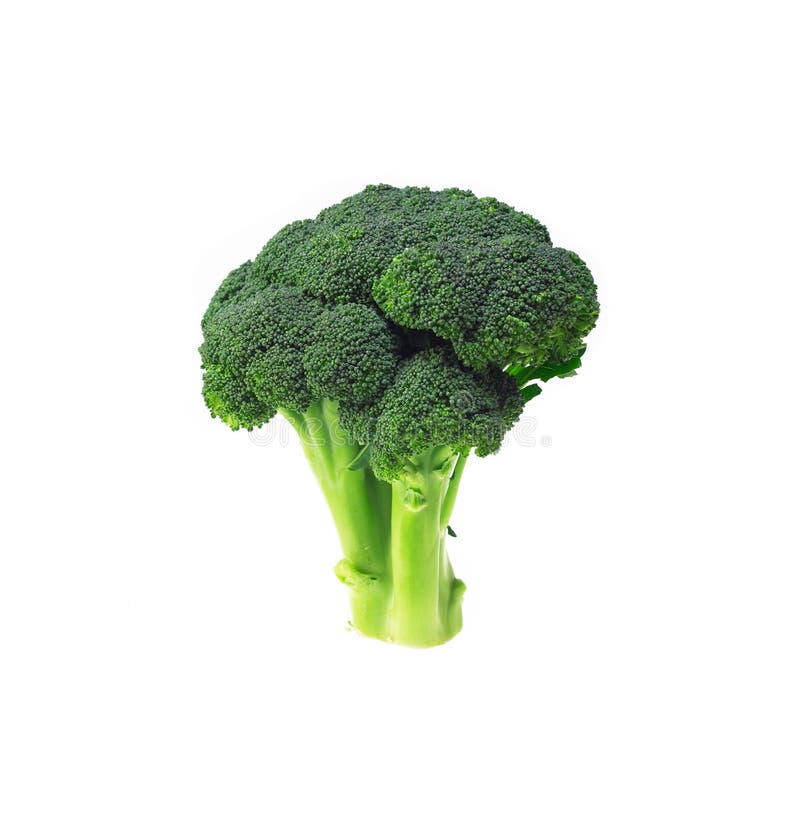 Broccoli stock image. Image of vegetables, background, color - 230329