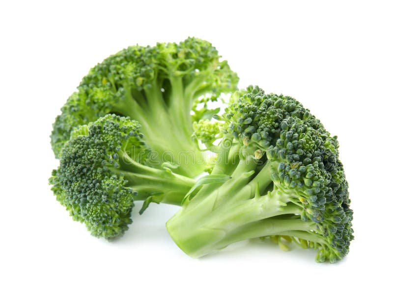 Fresh Broccoli Isolated. Edible Green Plant Stock Image - Image of ...
