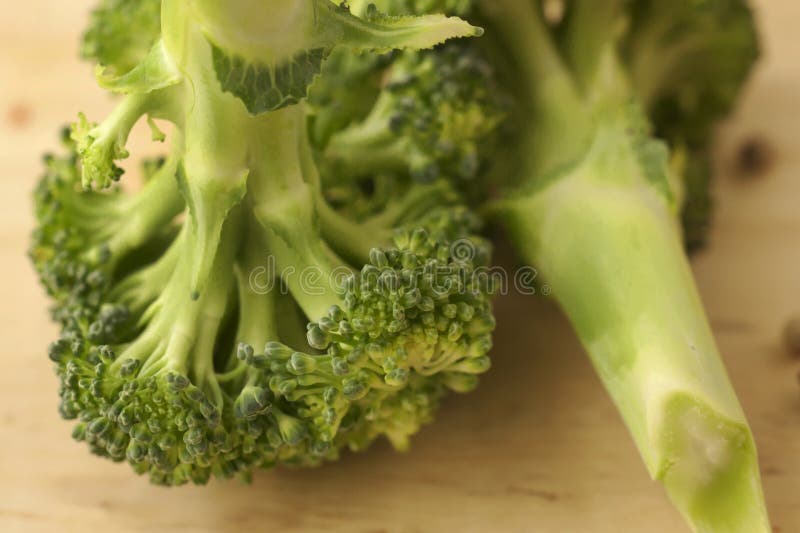 Fresh broccoli stock photo. Image of flora, dish, nature - 39888020