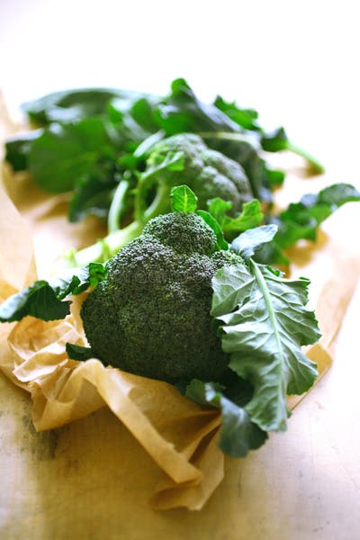 Fresh Broccoli Leaves on Paper Stock Image - Image of drops, close: 7540427