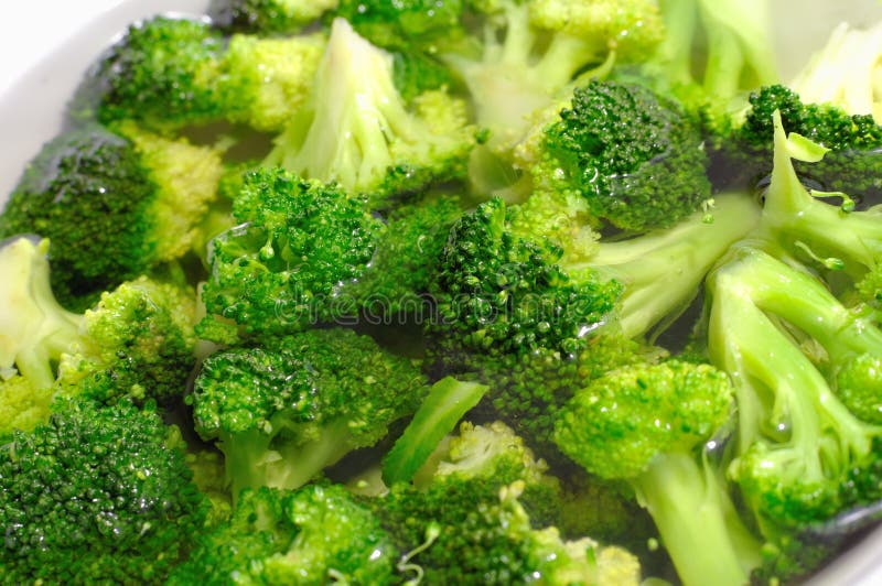 Fresh broccoli stock image. Image of vegetarian, vegetables - 67279789