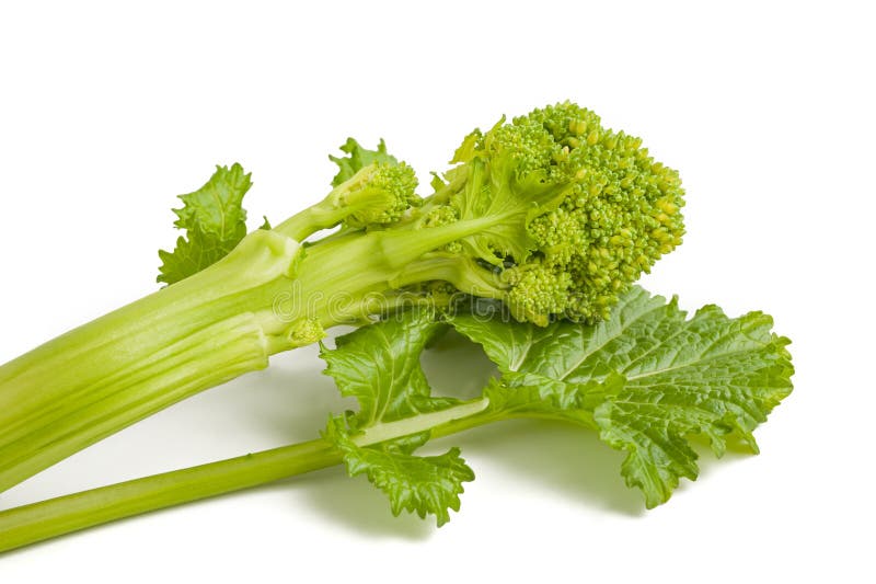 Fresh broccoli rabe stock photo. Image of healthy, ingredient - 210617730