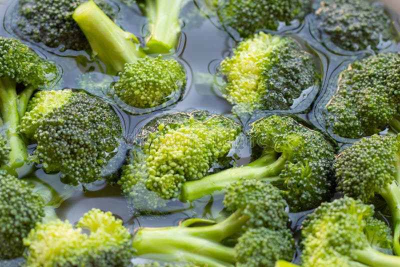 Fresh Broccoli Soaked in Water Stock Photo - Image of juicy, calcium ...