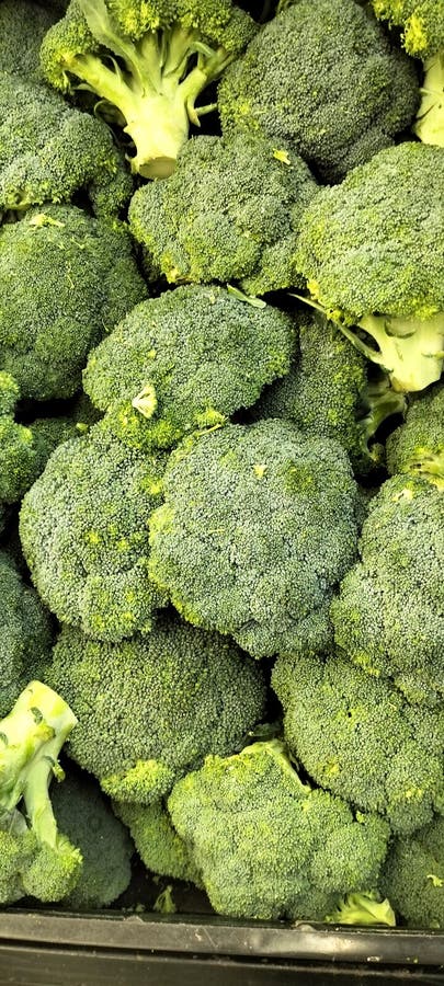 Fresh Broccoli in Super Market in Singapore Stock Photo - Image of ...