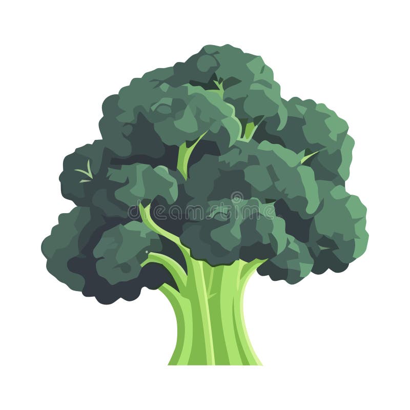 Broccoli Forest Stock Illustrations – 253 Broccoli Forest Stock ...
