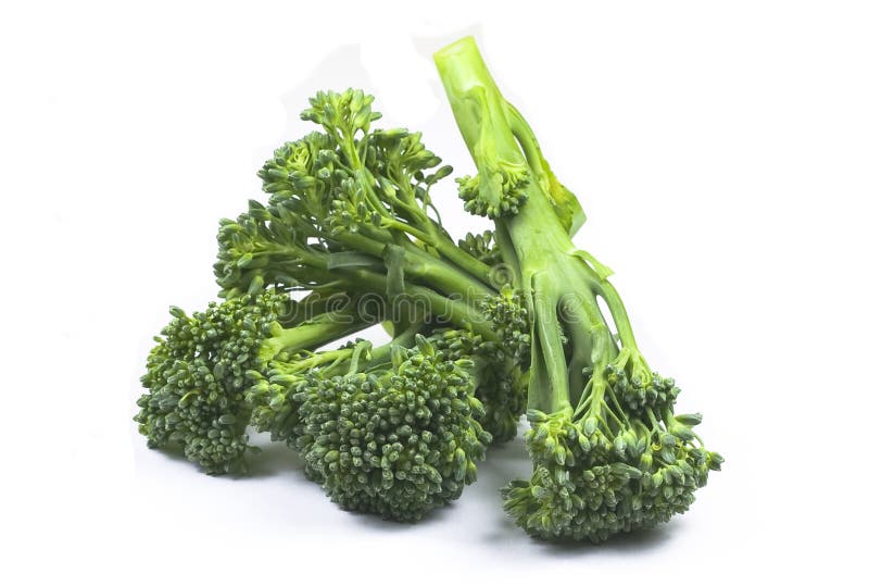 Fresh broccolini stock photo. Image of broccolini, cook - 13384406