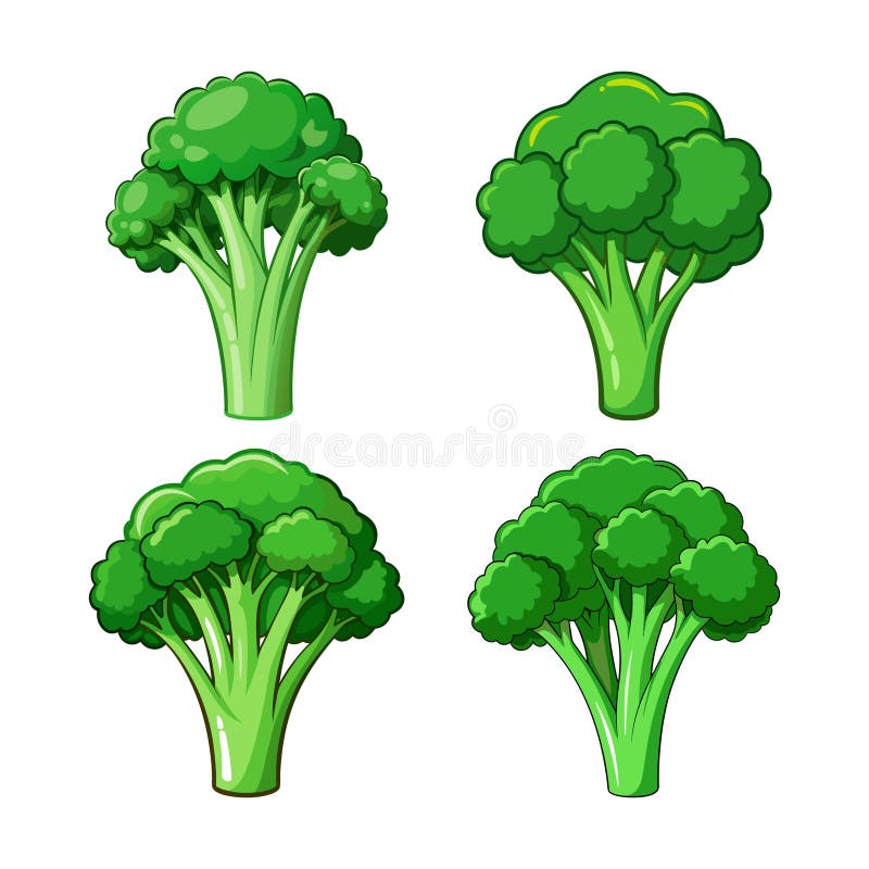 Fresh Broccolini Illustration with Bright Green Colors Stock Vector ...
