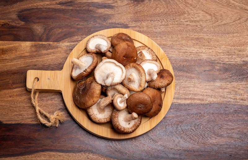 Fresh Brown Lentinula Edodes or Shiitake Edible Mushrooms Stock Photo ...