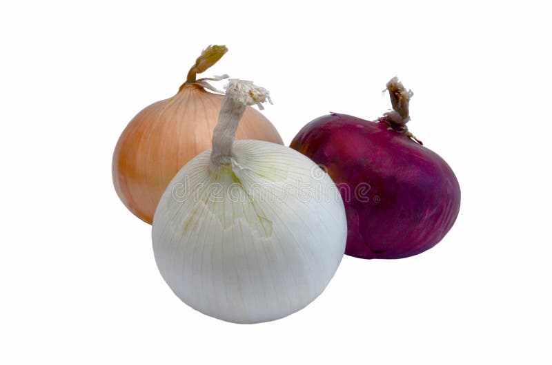Fresh Bulbs of Colorful Onions Stock Photo - Image of root, healthy ...