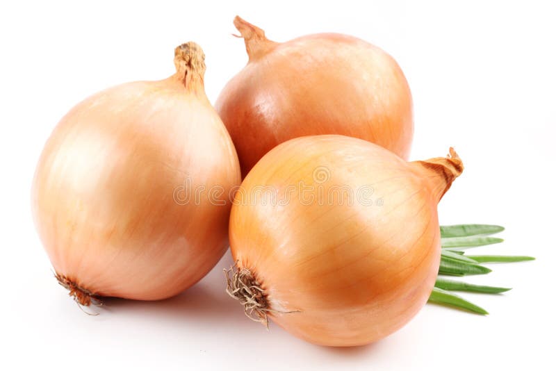 Bulbs of Red Onion with Green Leaves Stock Image - Image of ingredient ...
