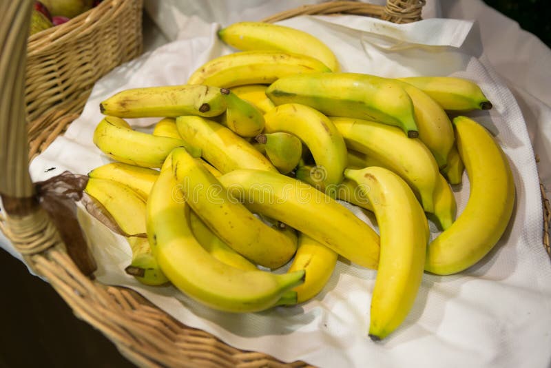 Fresh Bunch of Bananas in the Bucket Stock Photo - Image of diet, bunch ... Fresh Bunch of Bananas in the Bucket Stock Photo - Image of diet, bunch ...