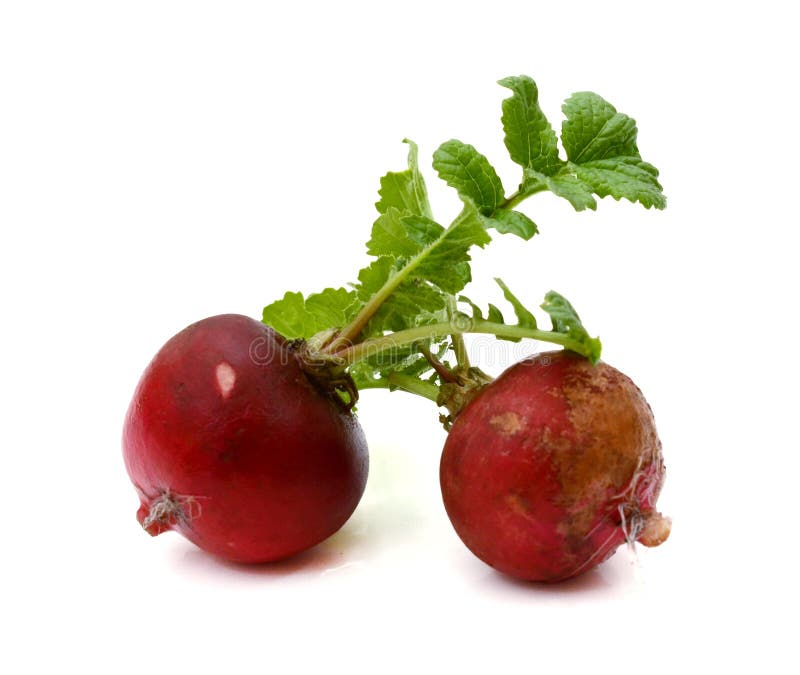 Bunch of beets. stock photo. Image of cooked, full, freshness - 166055084
