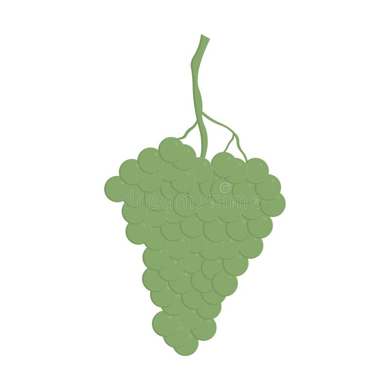 Fresh Bunch of Grapes Purple Icon on White Background. Vector ... Fresh Bunch of Grapes Purple Icon on White Background. Vector ...