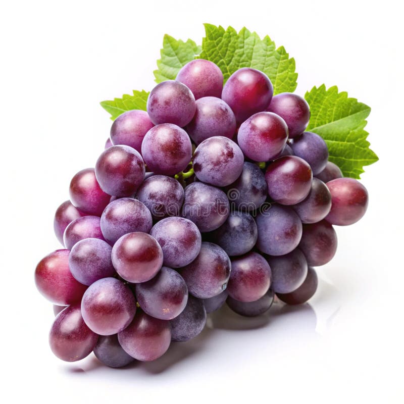 Fresh Bunch of Purple Grapes on a White Background Stock Illustration ...