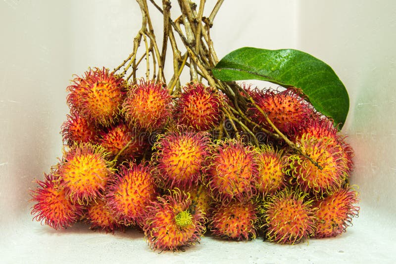 Fresh Bunch Rambutan from Thailand Stock Photo - Image of ingredient ...