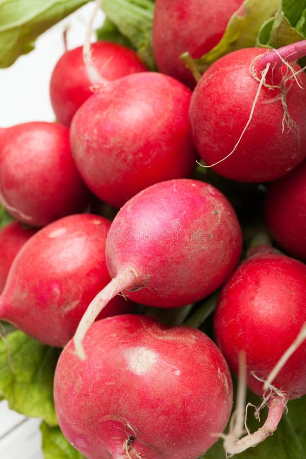 Fresh Bunch Red Radish for Cooking Stock Image - Image of organic ...